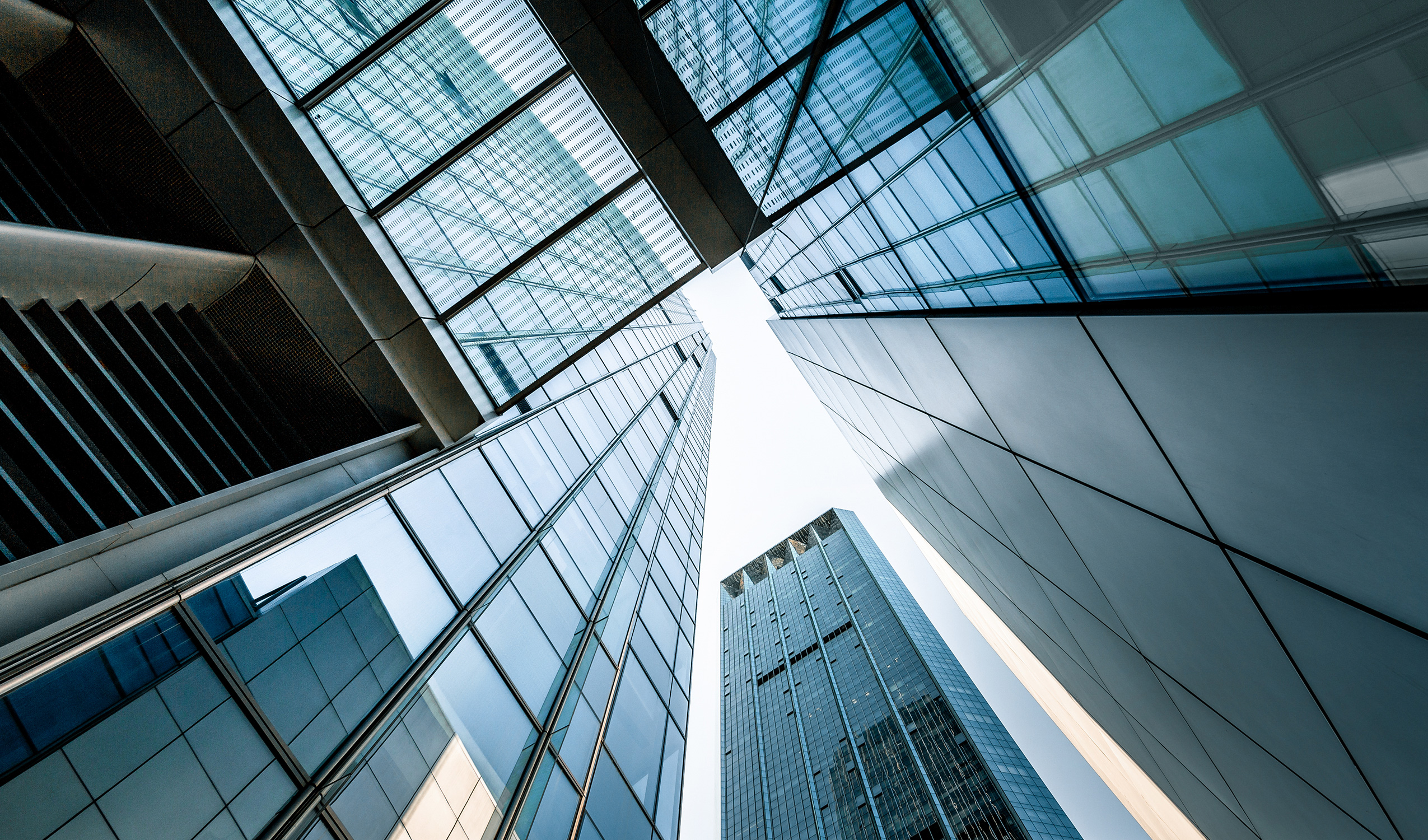 Özel Sermaye | Paksoy