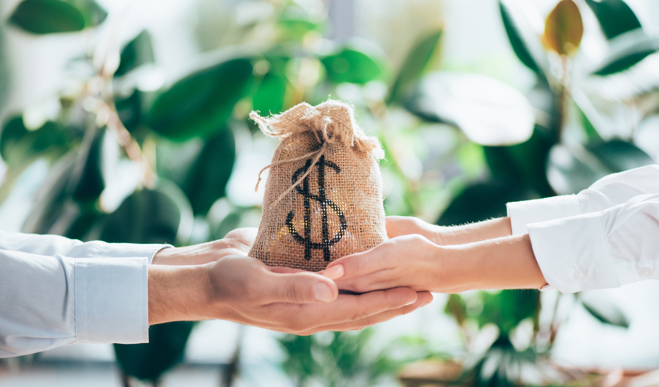 Servet Yönetimi | Paksoy